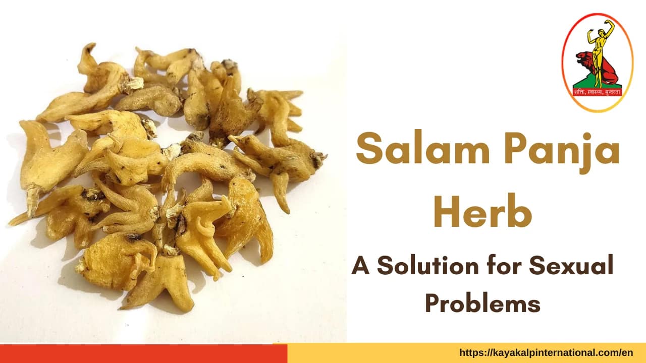 Salam Panja Herb- A Solution for Sexual Problems – Kaya Kalp International